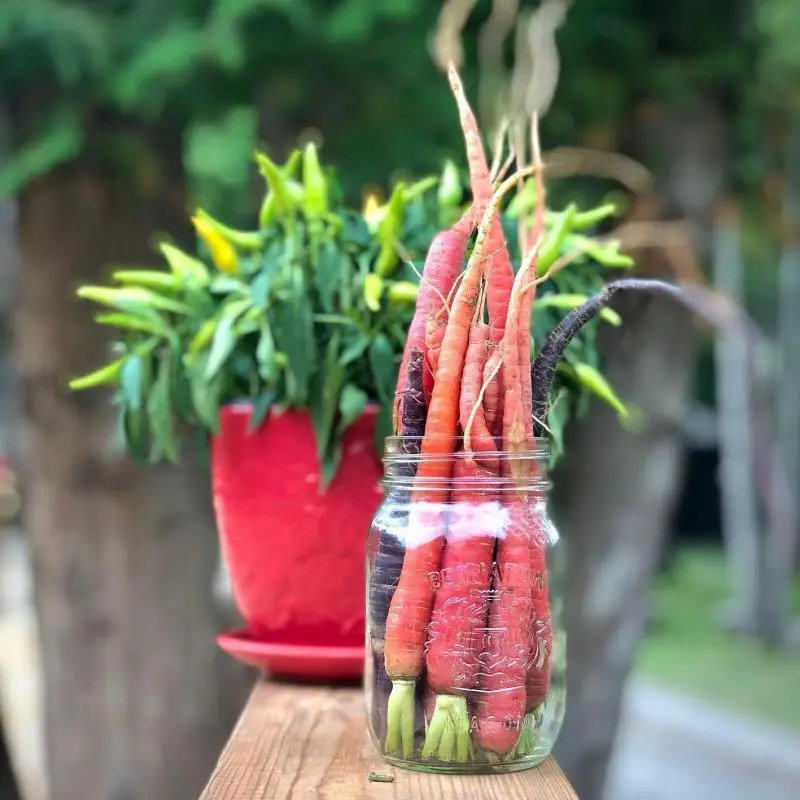 Eat At Red Bay Lodge - Guide to the Bruce Peninsula